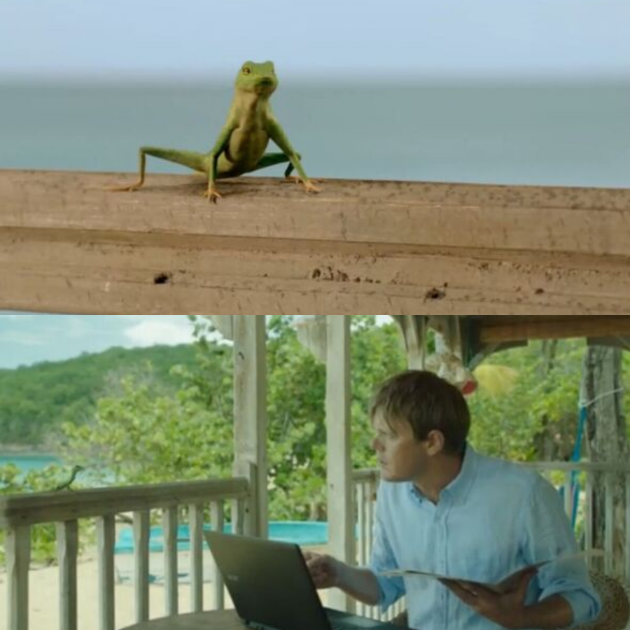 Is Harry the Lizard real in Death in Paradise and how old is he?